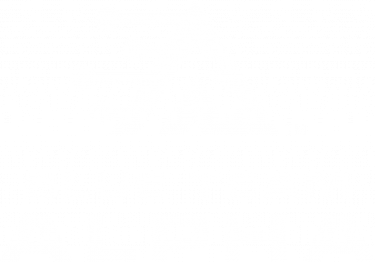 Blue Team Alpha: Cybersecurity Consulting Firm-Veteran Owned