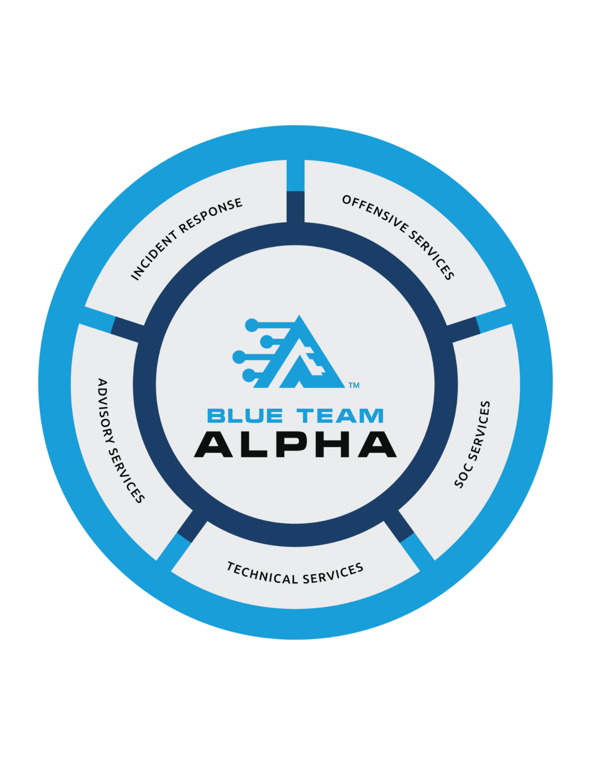 Veteran Owned Cybersecurity Firm - Blue Team Alpha